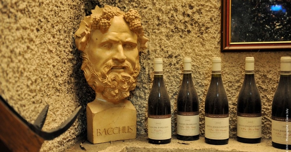 Accueil | Domaine Jérôme Chezeaux