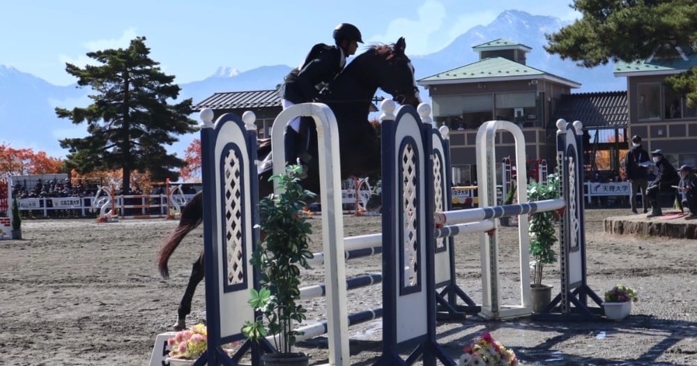 Home | Doshisha-Equestrian-Team