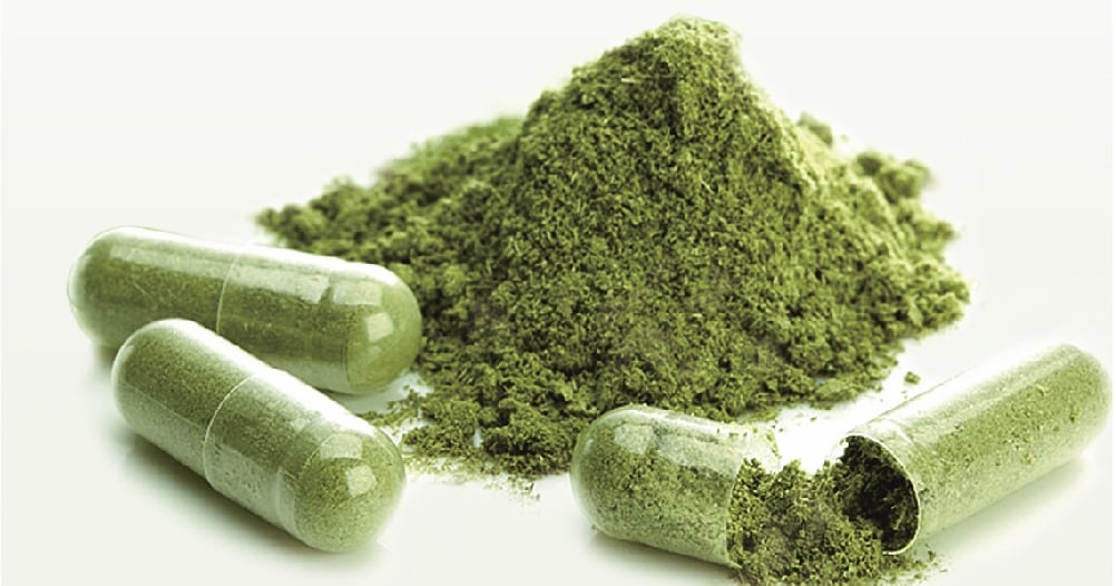 Euglena - Product | TUMUYUI