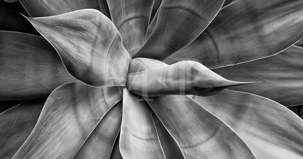 Strukturen - Galerie | Michael Priebe Photography