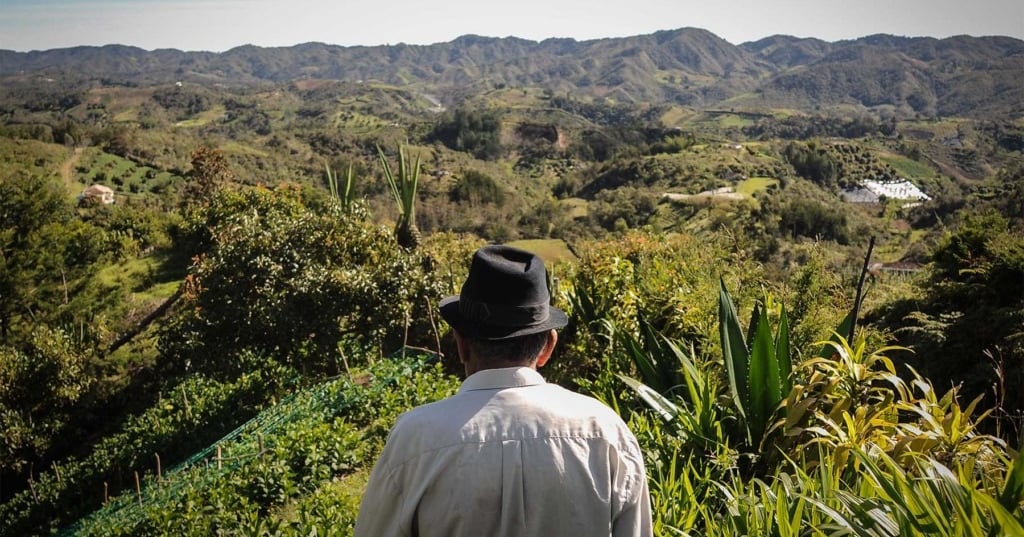 Desarrollo del Tema y Evaluación | Geografía a solo un clip