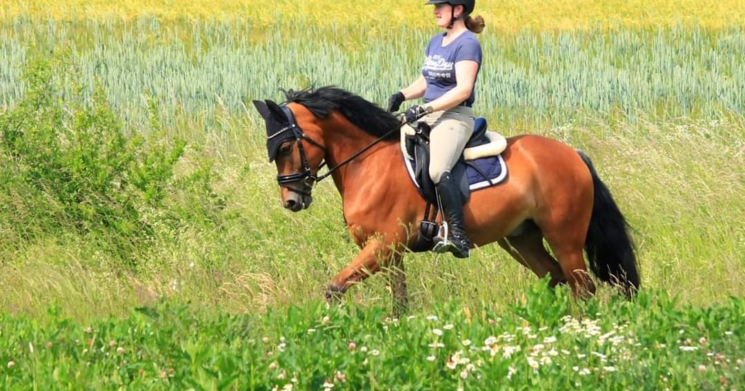 Über mich | Bea Blum