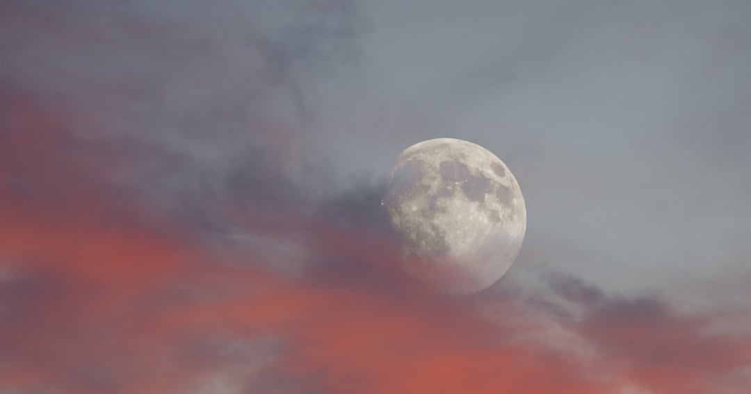 Shop | Samuel Sieber