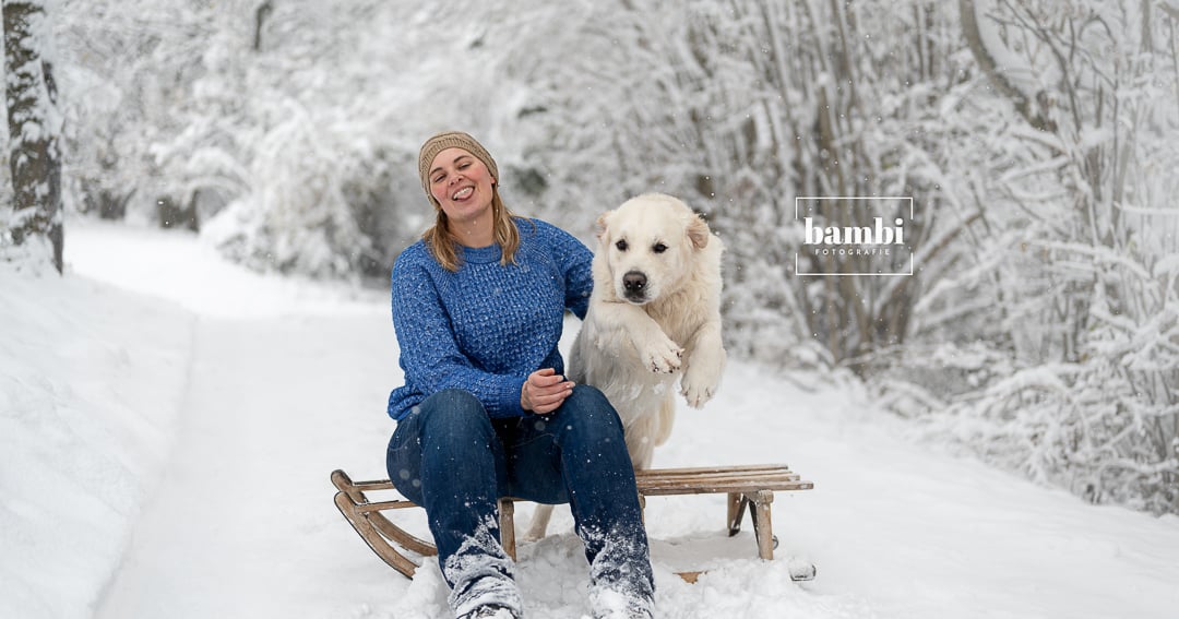 Über mich | Golden Xander-Blue