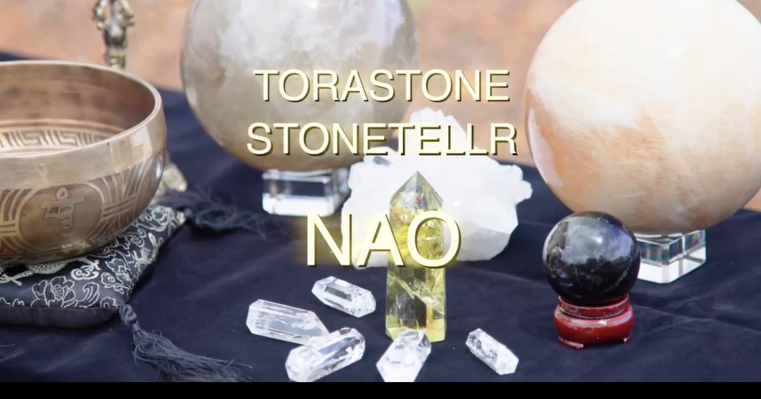 ToraStone NAO ご予約 | TEAM Grasp AND Realize-web