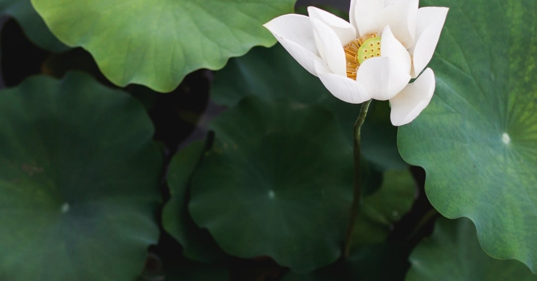 Home | Christine Rettig