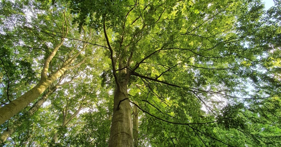 Herzlich Willkommen | Arztpraxis-DrSiegert-Luckenwalde