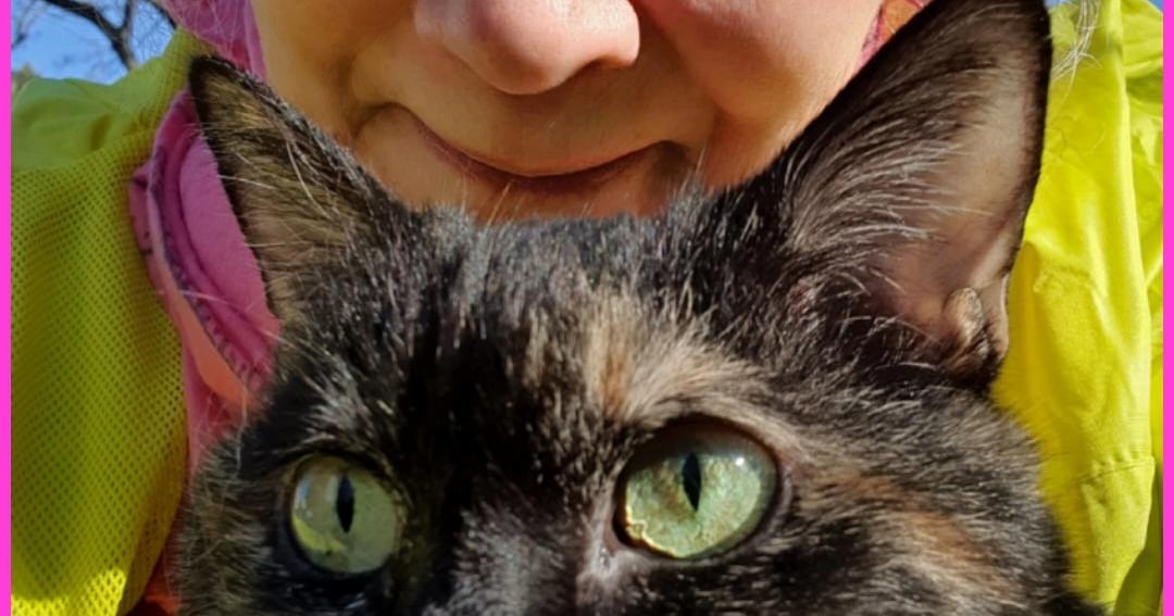 Bilder | Catmobil - BetreuungsService Michaela Hirsch