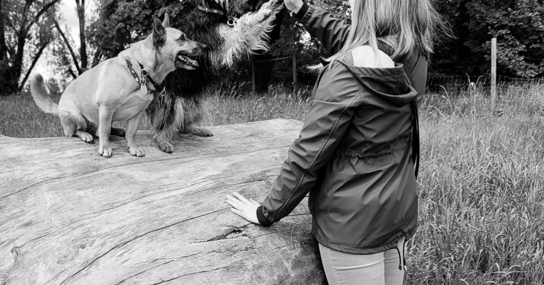 Kontakt | Tierpsy_Tina