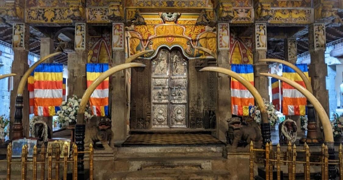 177/14SD152 | 14 SUGAR DELTA 152 PATRICE