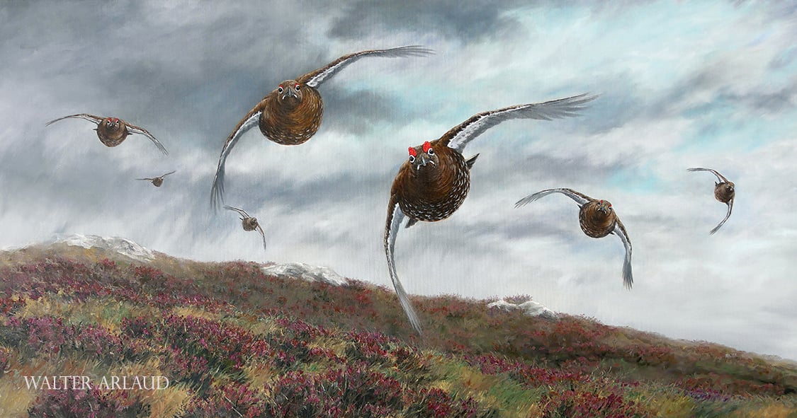 Driven Grouse, Tirage sur châssis entoilé, avec cadre caisse américaine ...