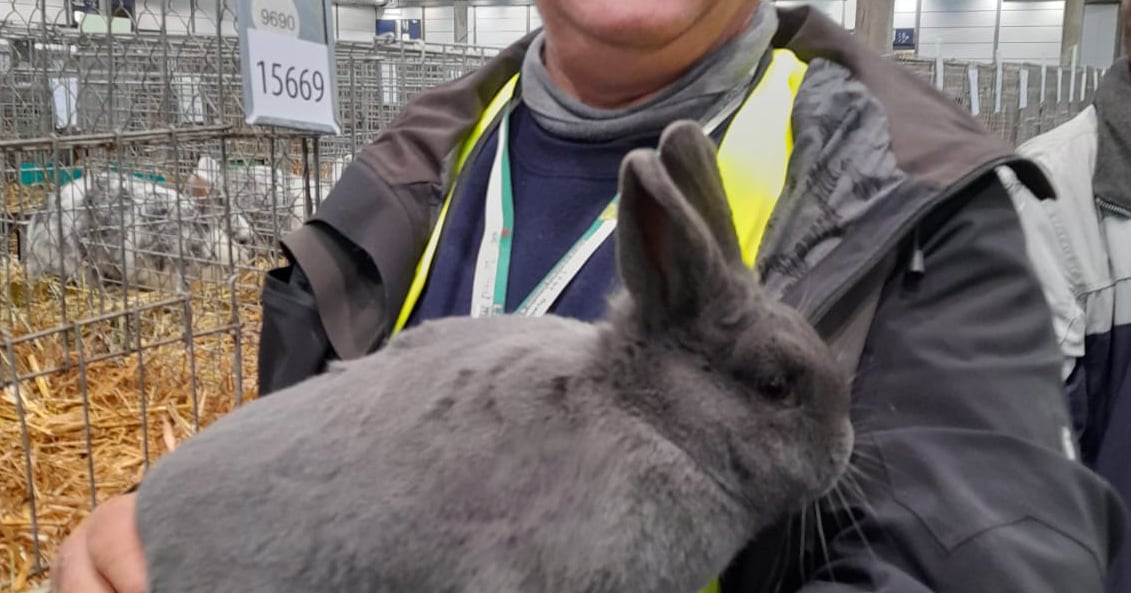 JHV des Holicer Club Thüringen 2025 - Berichte | Arbeitsgemeinschaft ...