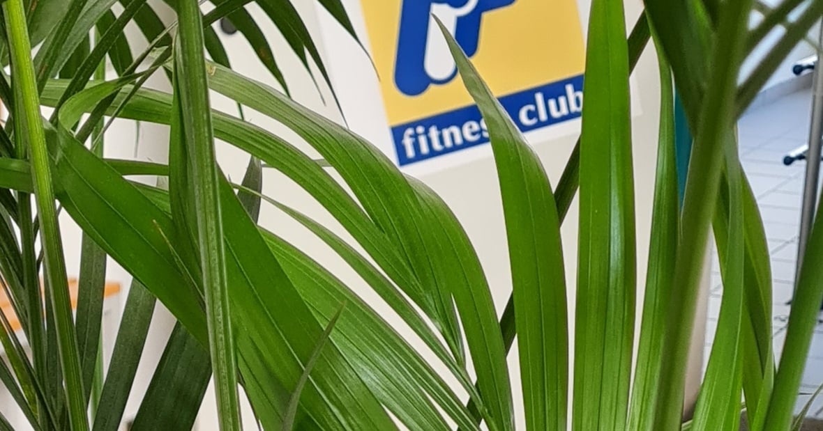 Die PREISE | FAMILY fitness club Burscheid