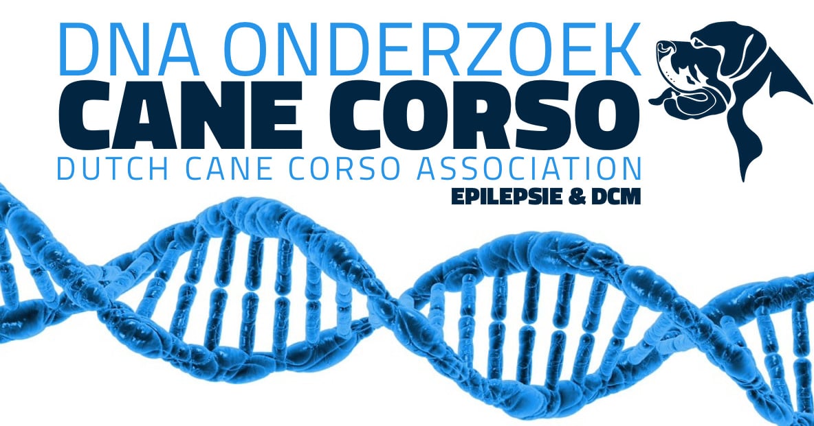 DNA onderzoek - Gezondheid | Dutch Cane Corso Association