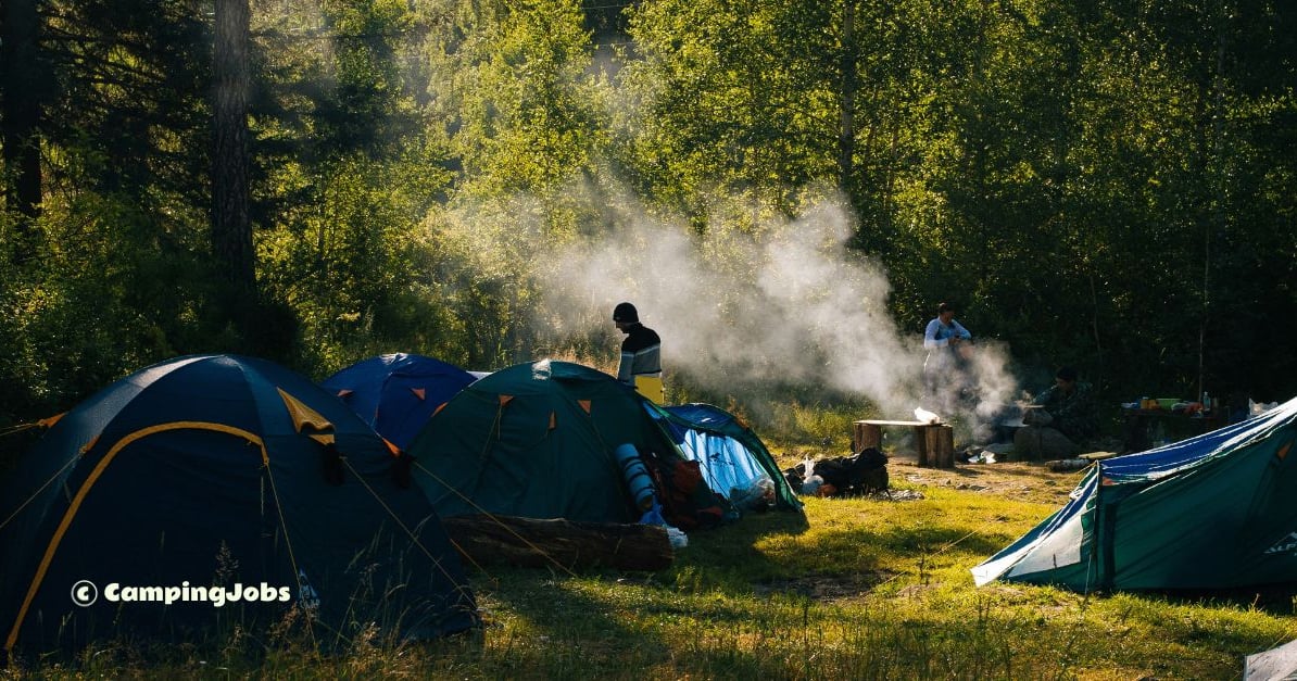 CampingJobs | BVCD e.V.