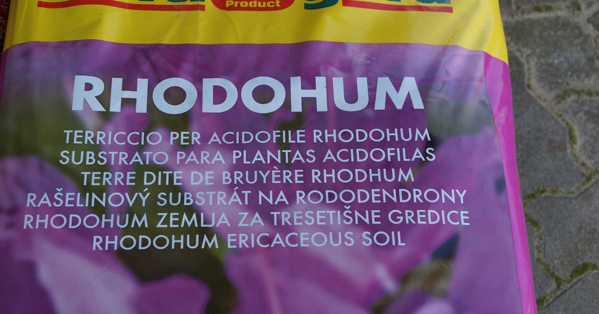 Rhodohum - B - Shop | Kartoffel und Gartenshop