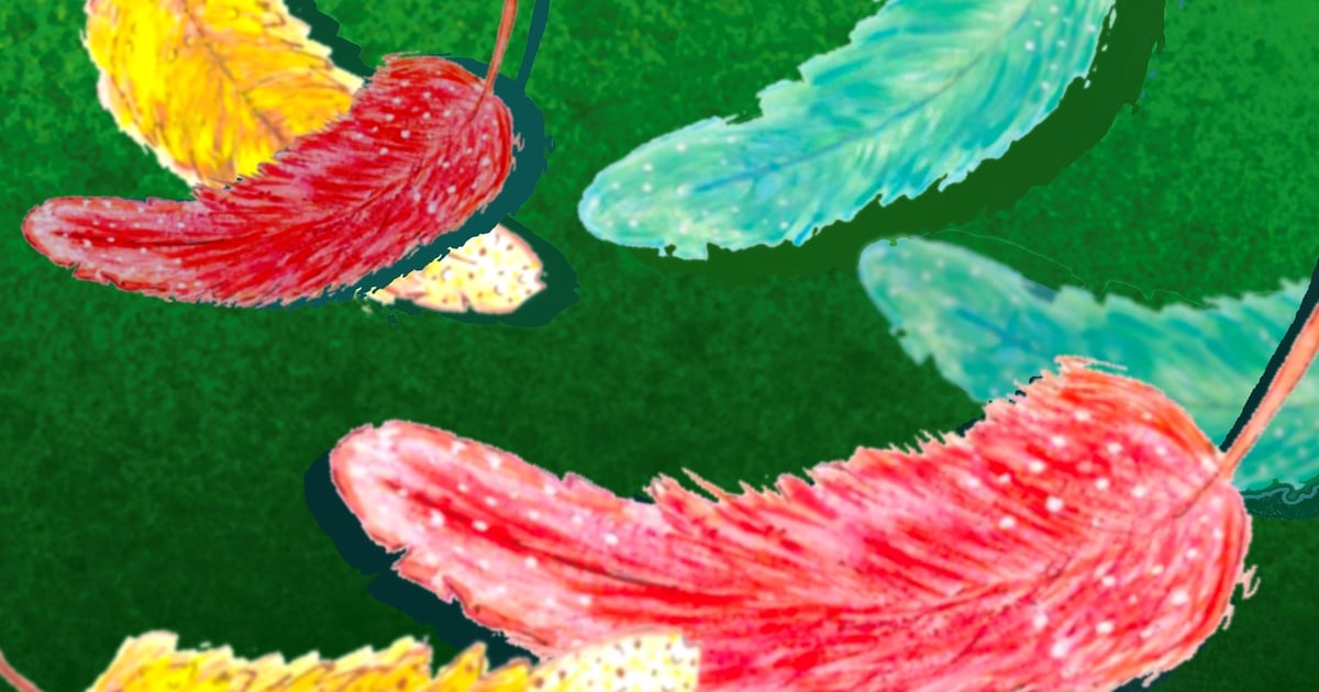 School | Scharrel Minderhout