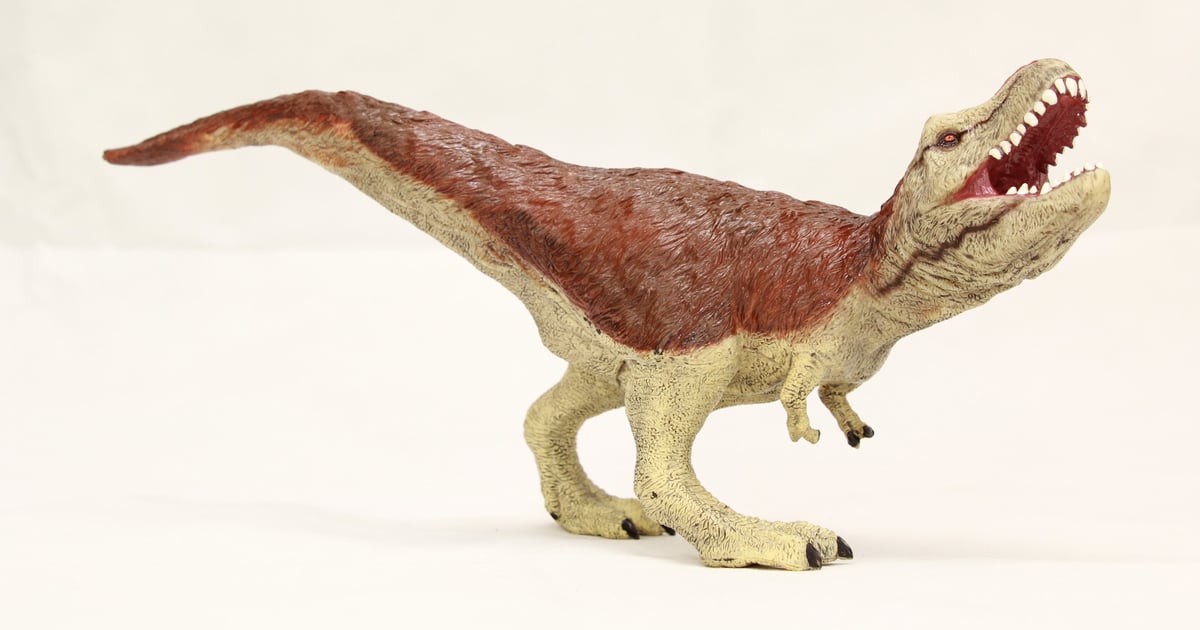 Tyrannosaurus rex - Dinosaurier - Shop | Einmalige Geschenke und Spielzeuge