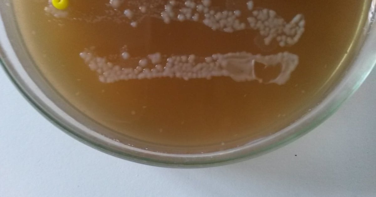 Einblicke - Über mich | GILBIS