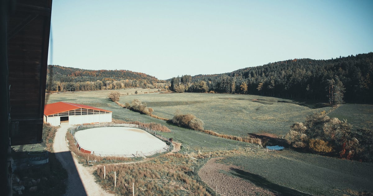 Über uns | Bilger Quarter Horse