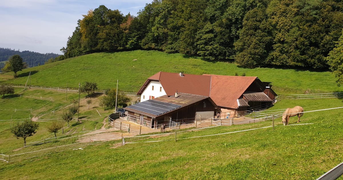 Über uns | www.goldinger-dogs.ch