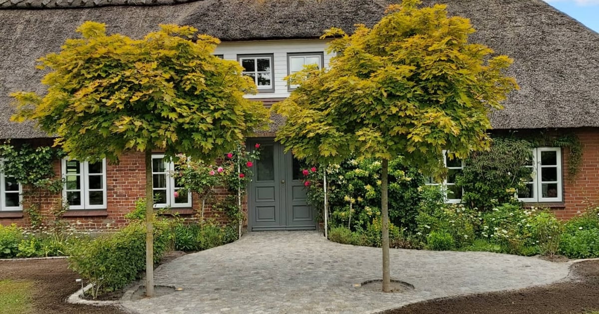 Ihr Garten- und Landschaftsbau Familienbetrieb in Dithmarschen ...