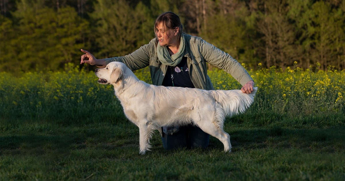 Amy - Lou - Rudel | Golden vom Taunus Forst