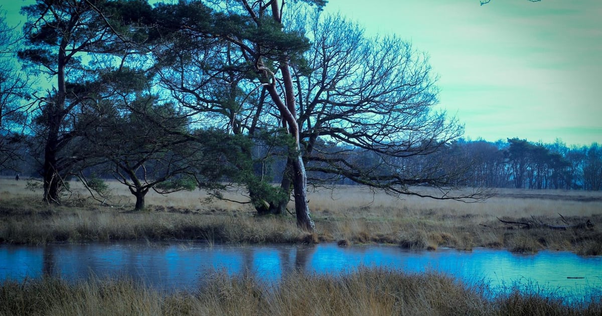 Home | EJ Photography