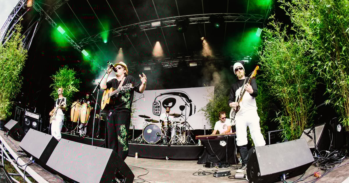 Konzi | Bambusbär Band