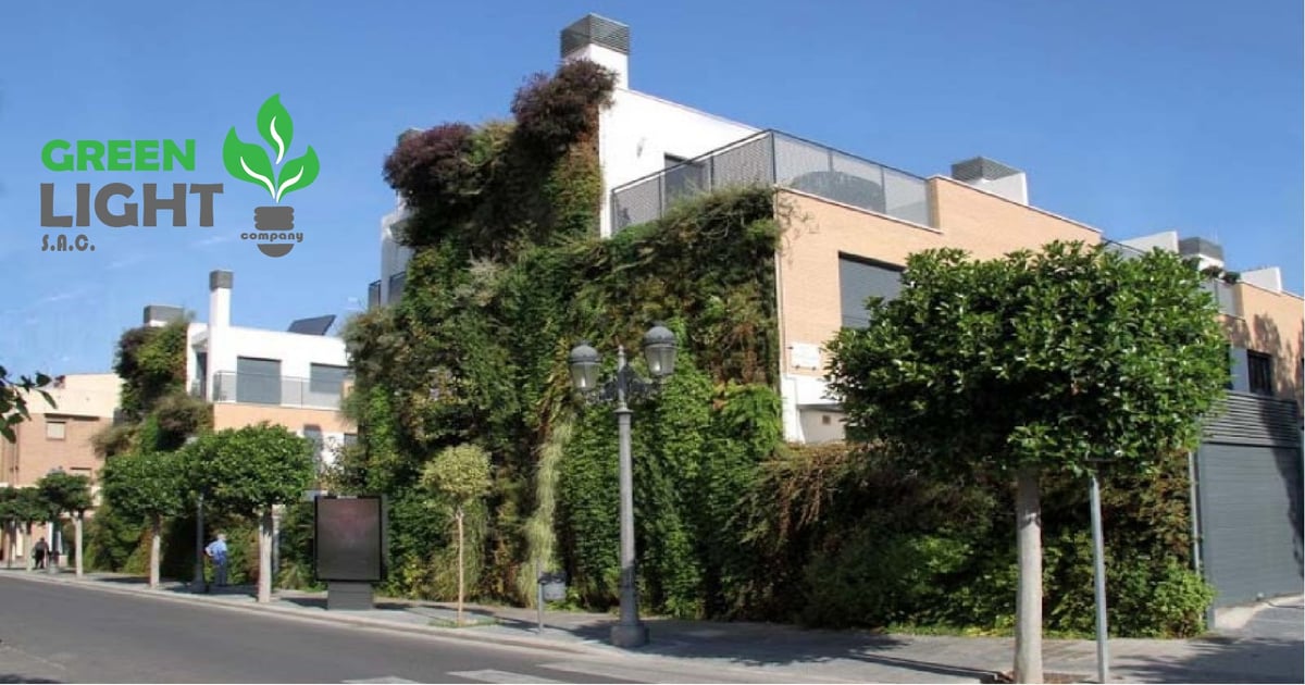 Inicio | green light company