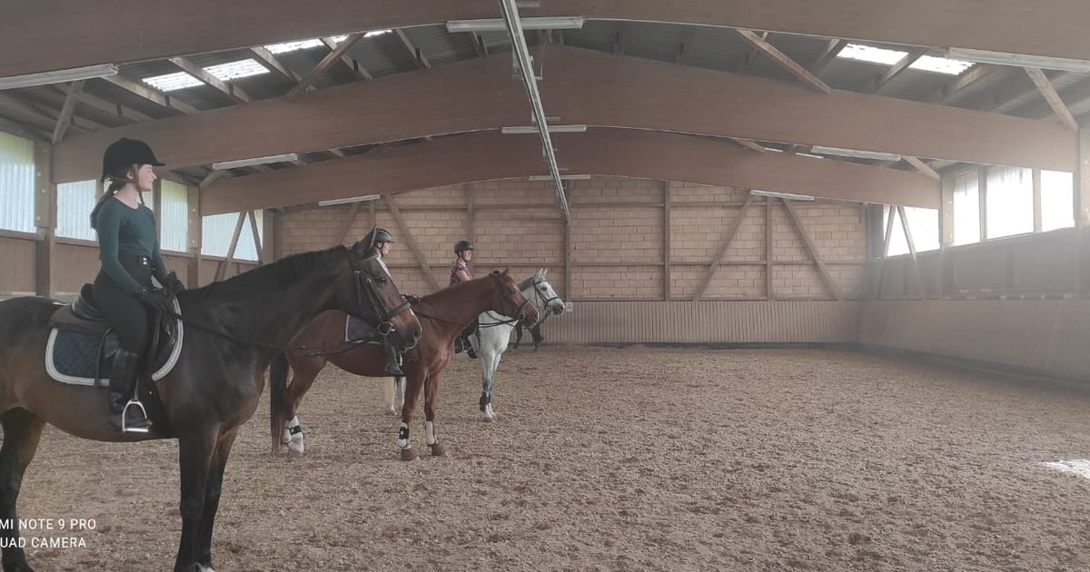 Reistunden/Bodenarbeit | Deborah Florio