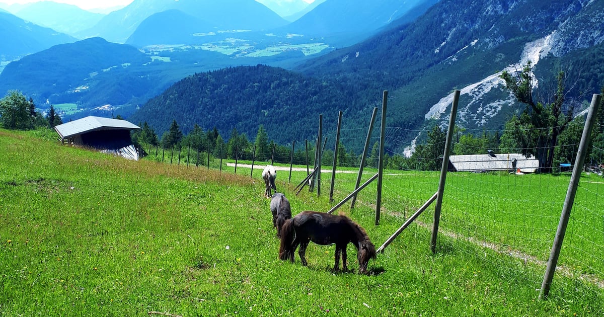 Die Ranch - Home | Sunny Mountain Ranch