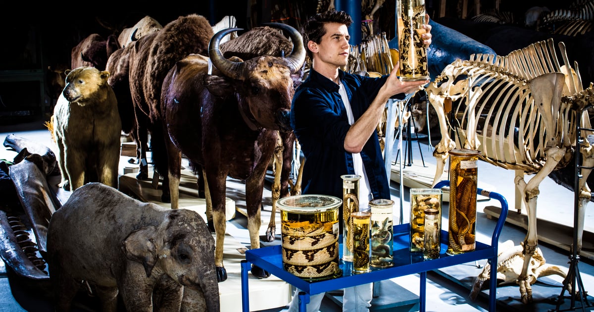 Matyas Bittenbinder | Matyas Bittenbinder