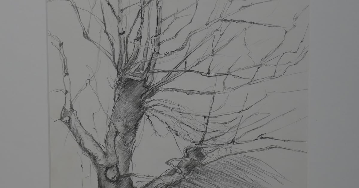 Roland Wörner, Baumstudie - Original-Grafik - Shop | Galerie Seiler