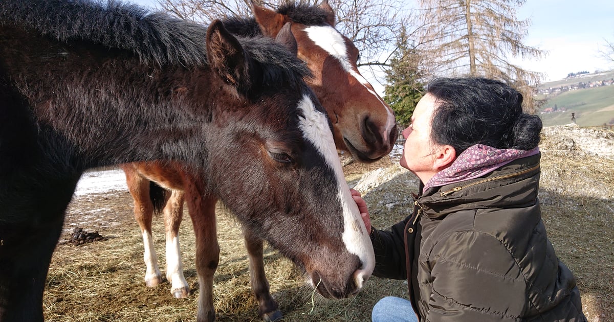 Über mich | EQUUS SANIS MAGNIS