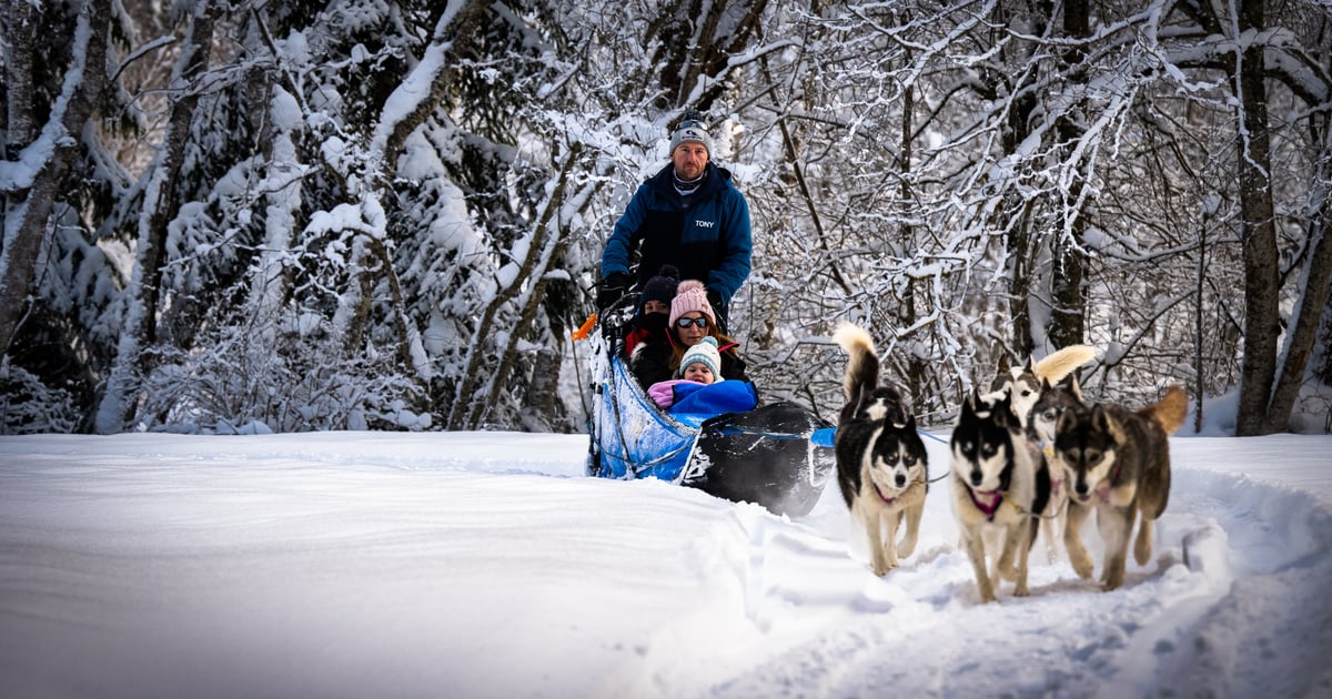 Activités d'hiver - Saint Léger Les Mélèzes | Passion Traineau