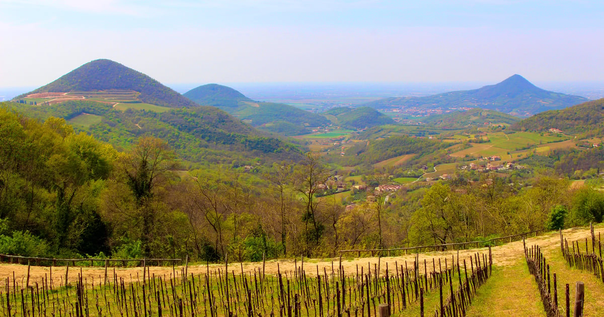 Die Region Colli Euganei - Home | Viaggio del vino