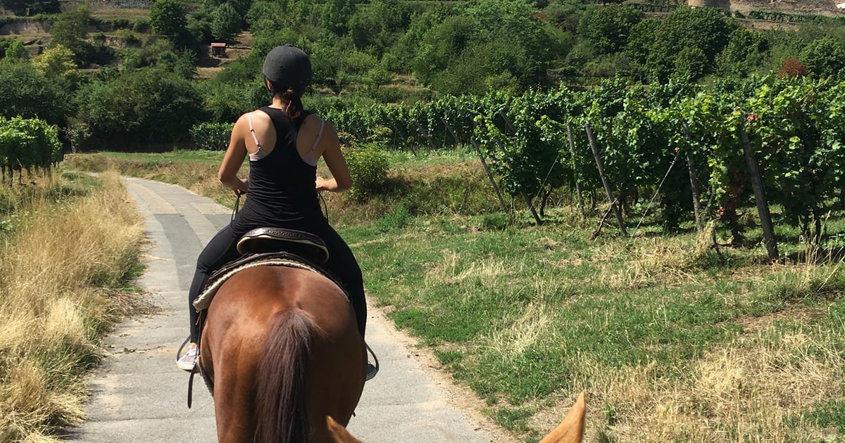 Preisliste | Old River Ranch