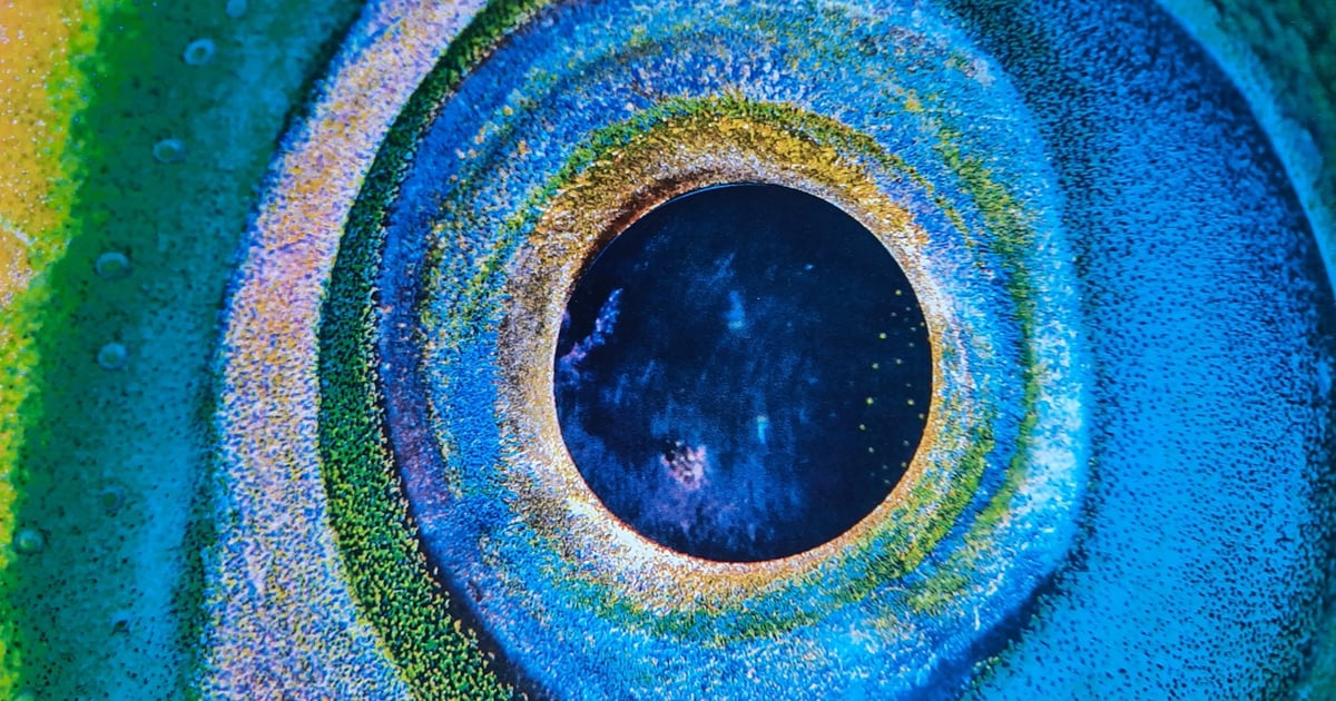 Home | Silke Sporr-Knopf