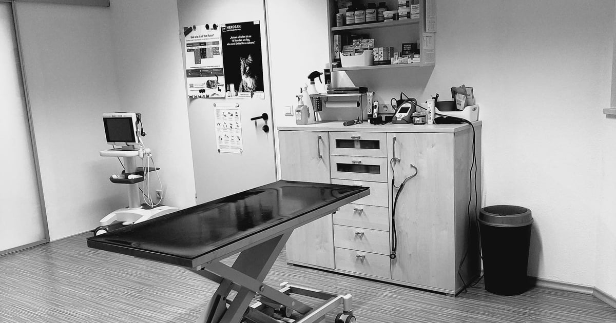 Über mich | Buchner Vet