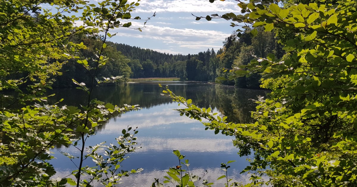 Positionen | Marc Wachter