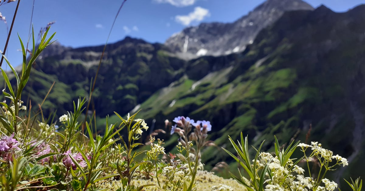 News | Doula Myriam Rungger