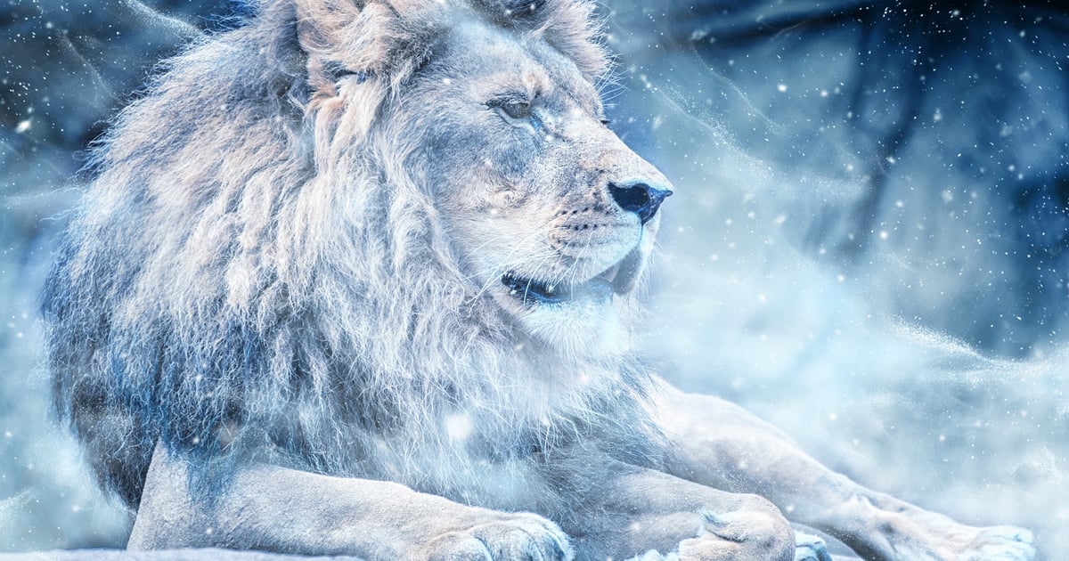 Bild: Blue Lion - Bilder mit runden oder eckigen Steinen - Shop ...