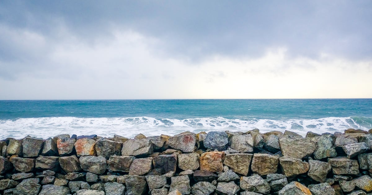 Home | Shreshta Pagidimarry