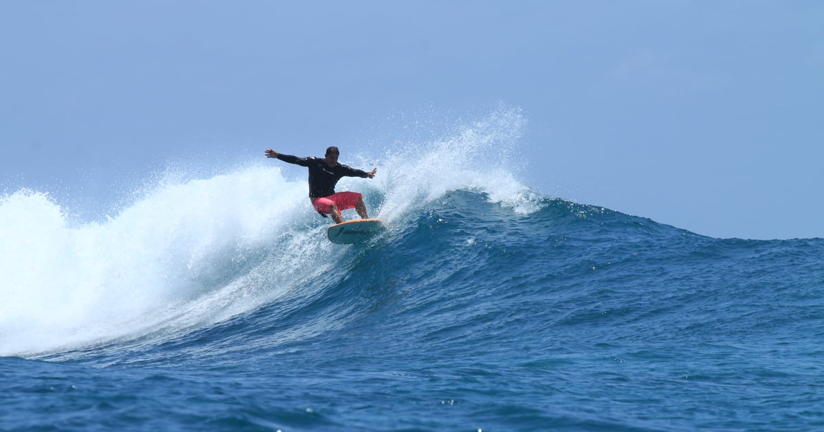 SURF | quiko pro surf school