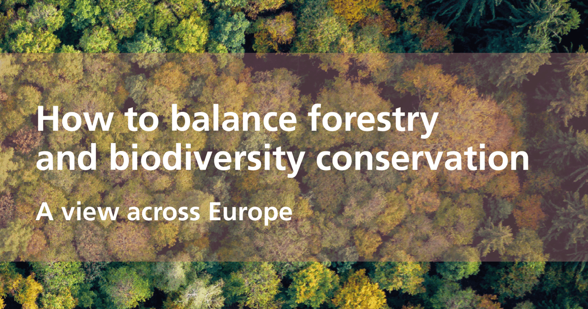 Publications / Veröffentlichungen | Andreas Rigling