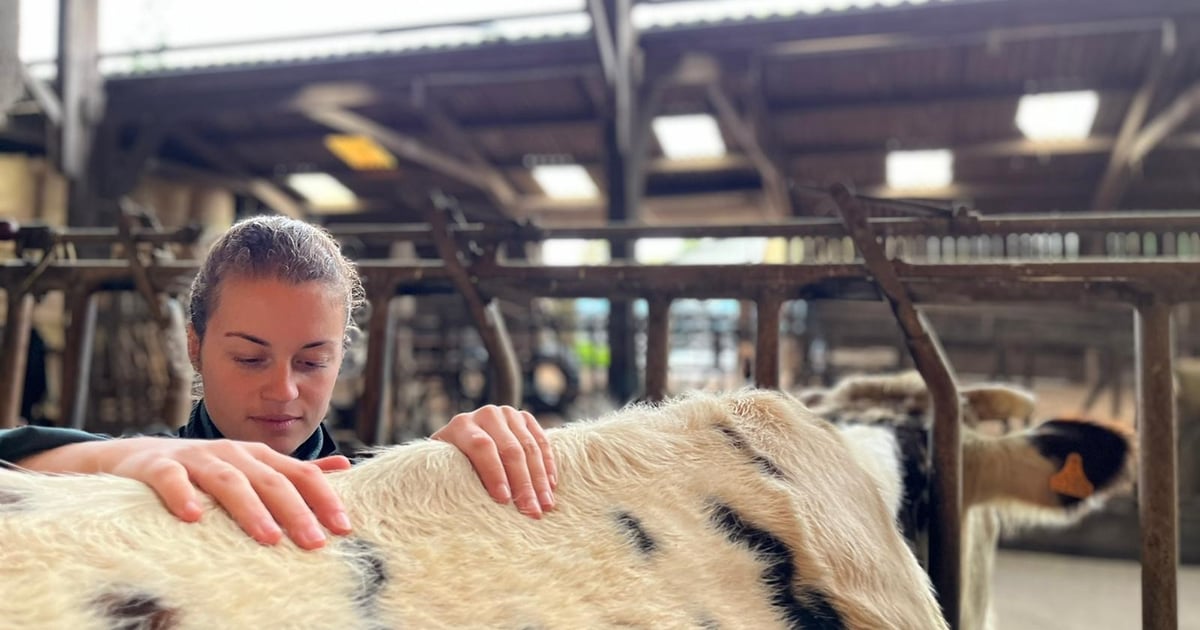 L'ostéopathie animale | Léa Renard - Ostéopathe pour animaux 53