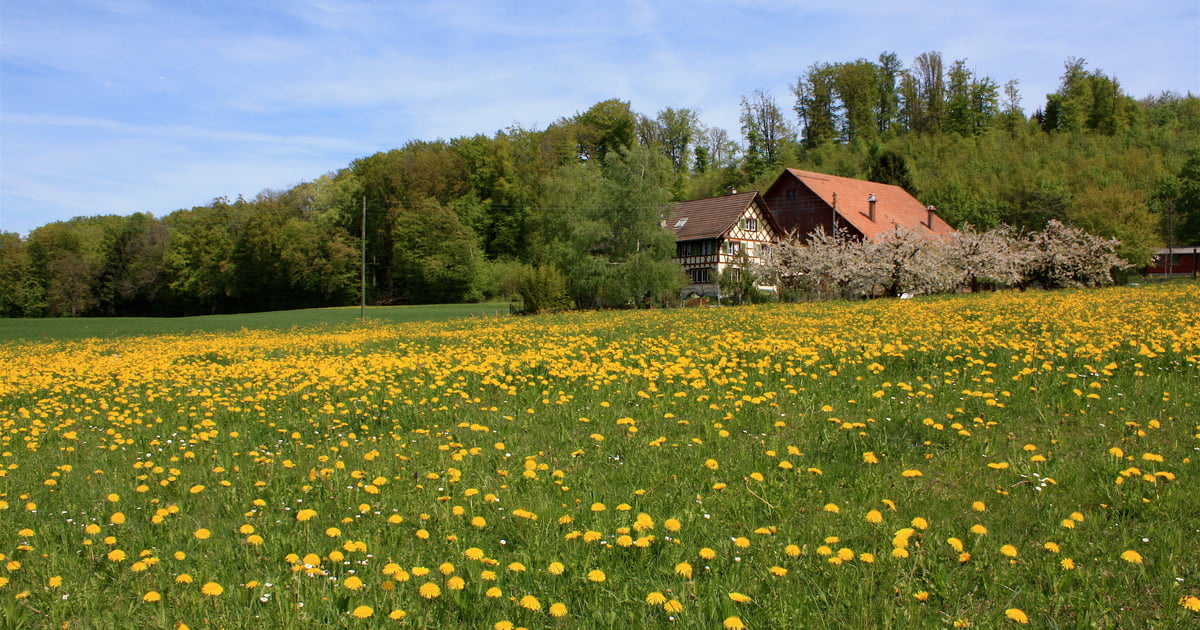 Private interests / Interessen | Andreas Rigling