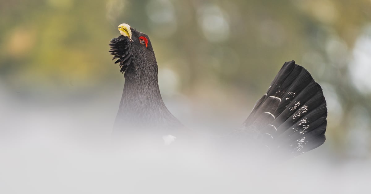 Fabian Frena - Photographer | MMF Photography