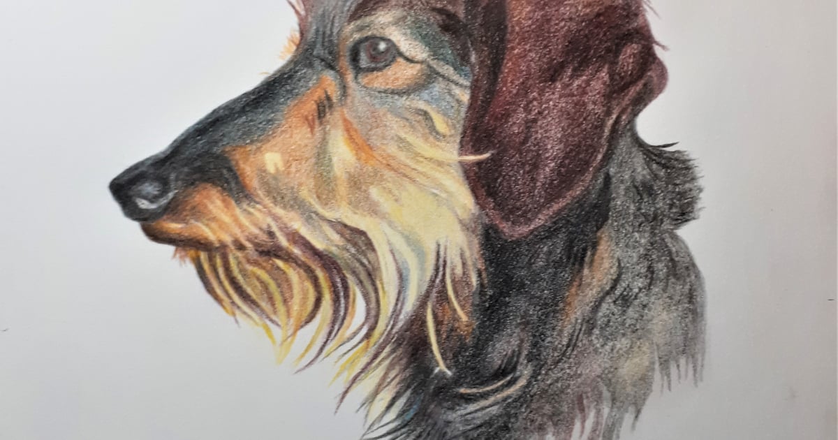 Leistungen | Dr. Claudia Arndt-Bleicke